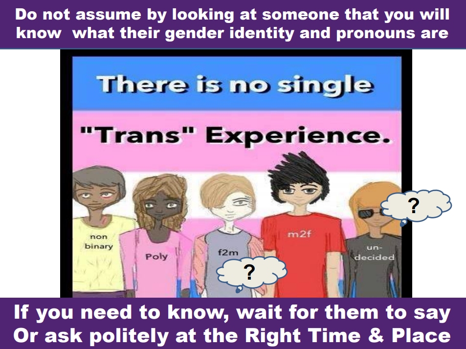 Wings Over Scotland | Learning Insanity